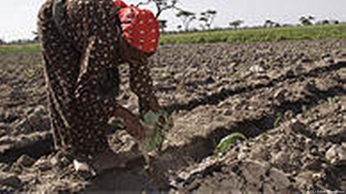 Roots of famine – DW – 07/21/2011