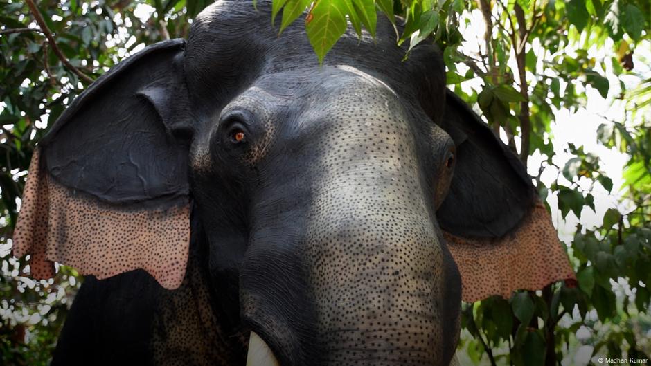 India: Kerala temple deploys robotic elephant for rituals – DW – 03/23/2023 India: Kerala temple deploys robotic elephant for rituals – DW – 03/23/2023