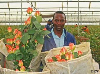 Flower trade – DW – 05/03/2011