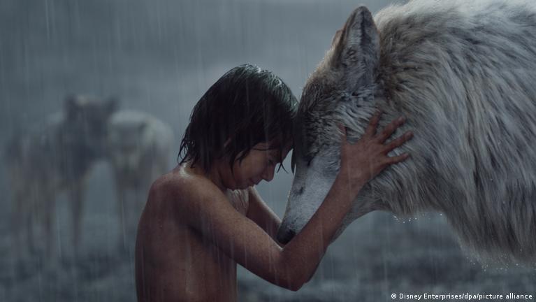 Famous wolves in popular culture – DW – 04/03/2023