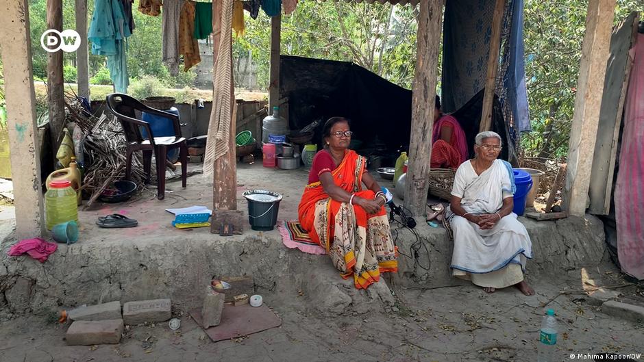 'Tiger widows' of South Asia's Sundarbans wilderness – DW – 04/10/2023