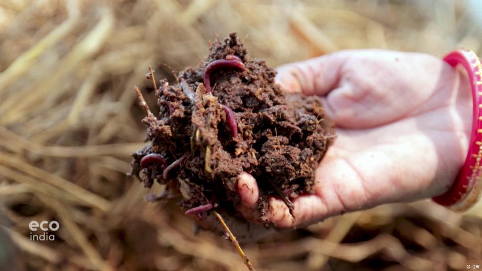 The benefits of composting with earthworms