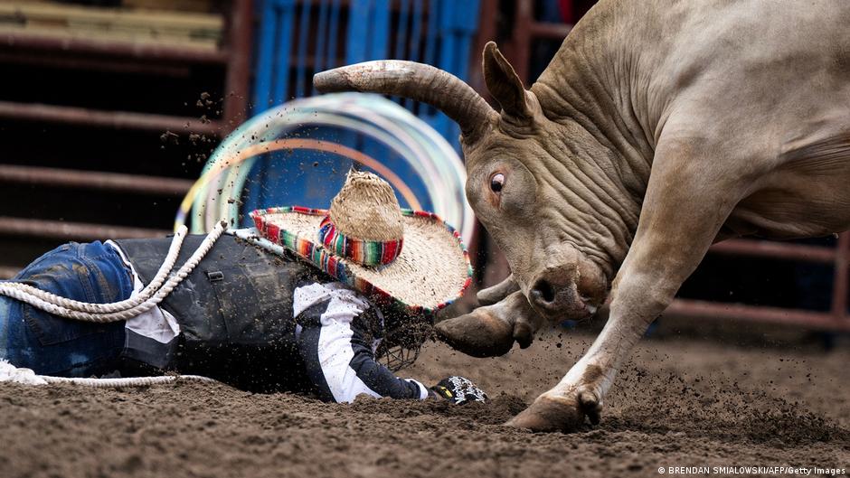 Eye to eye with the bull: Rodeo behind bars – DW – 04/26/2023