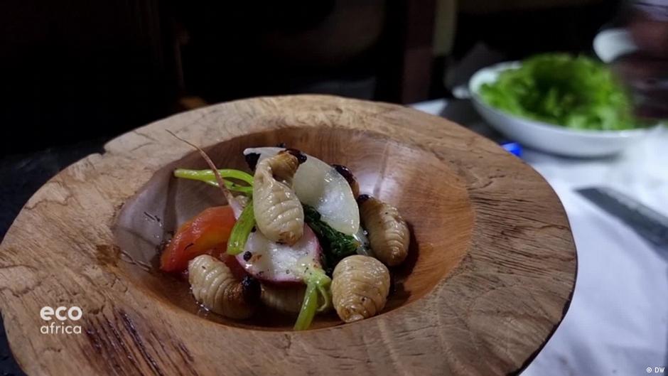 Palm weevil larvae as alternative food