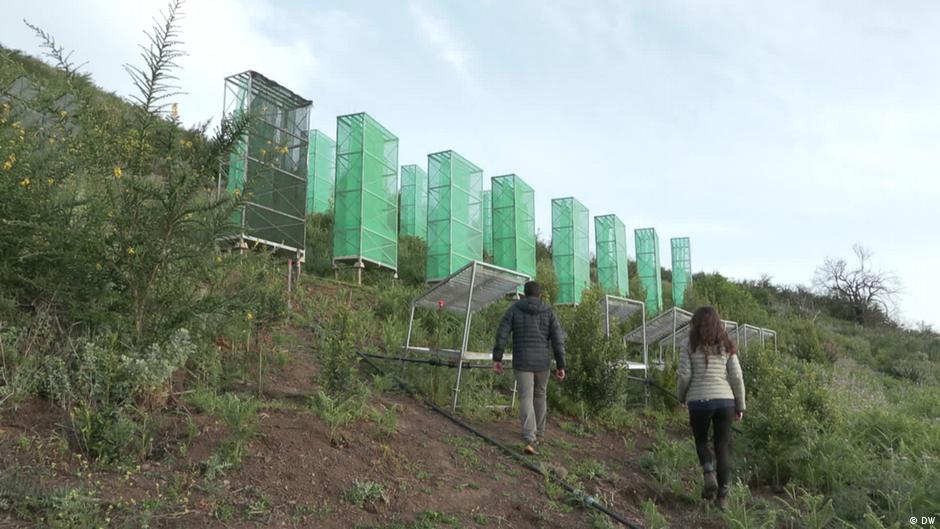 Cloud catchers in Gran Canaria