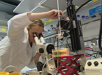 Women Scientists - the challenges of juggling a family and a career ...