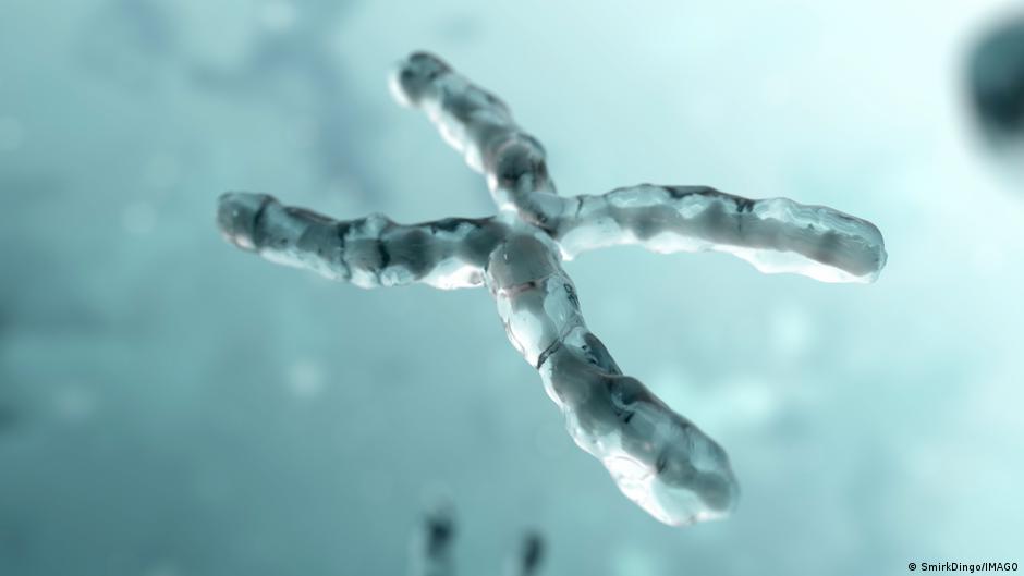 Nuevo pangenoma humano: revelar la biología de todo el mundo