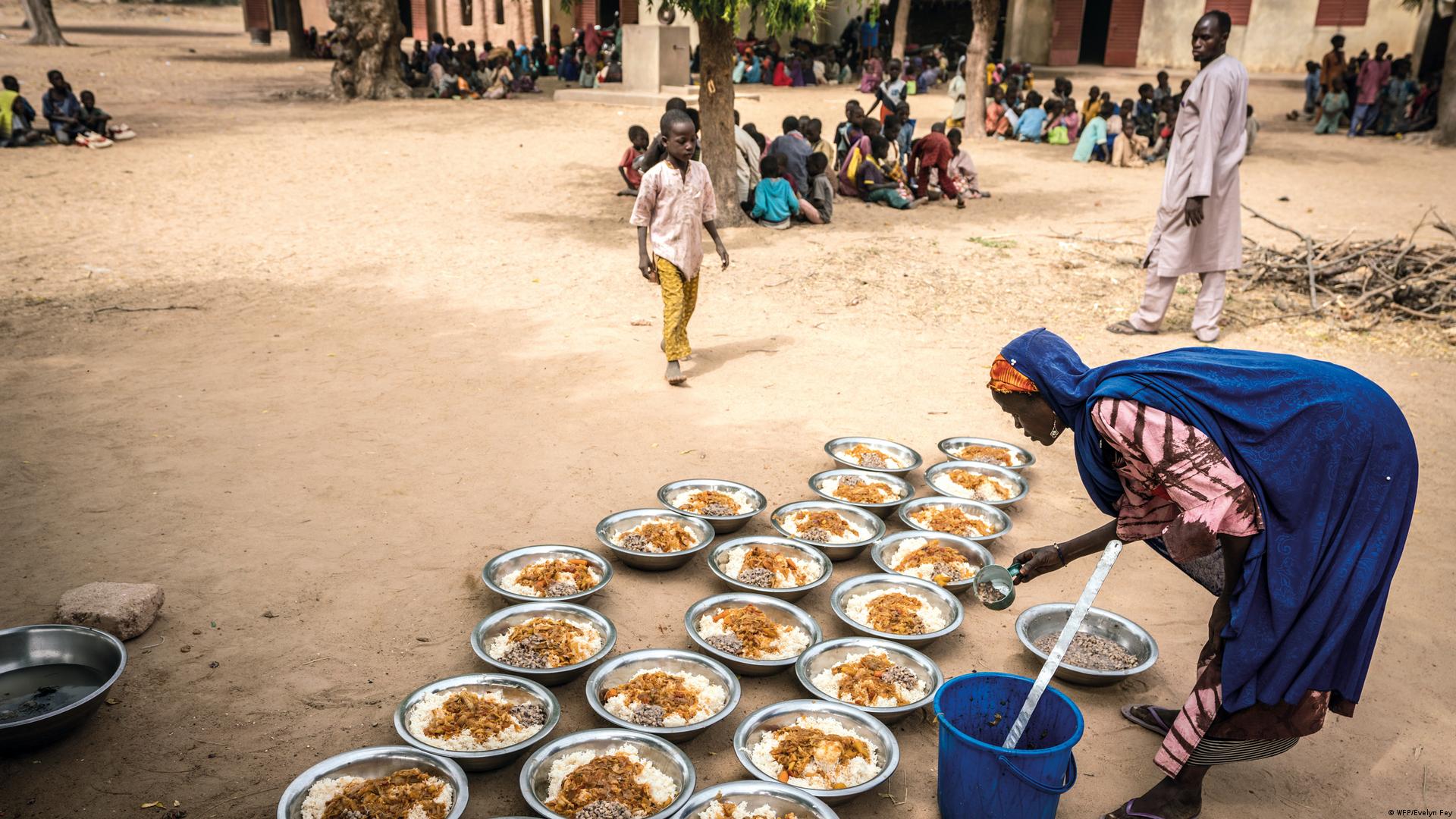 The Tsunami of global Hunger