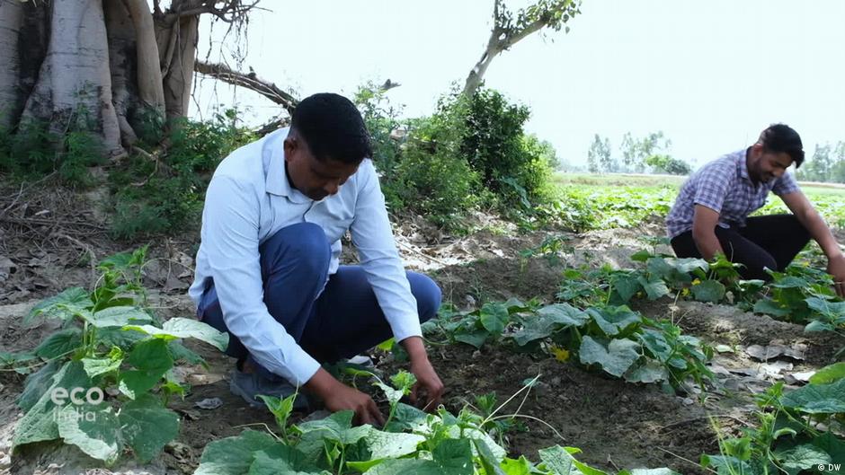 Teaching farmers to shift to natural farming