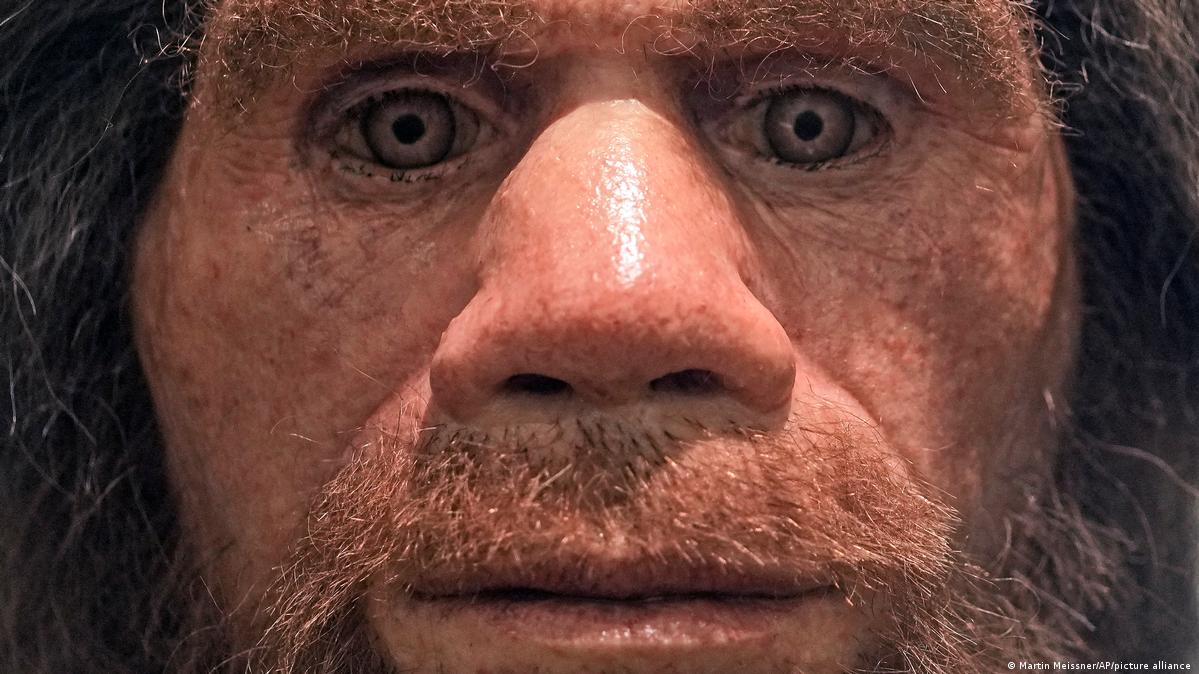 Neandertales practicaban la química, según pegamento antiguo – DW – 06 ...