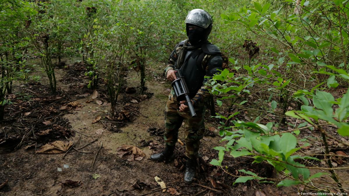 ¿Se ha convertido Bolivia en un "narcoestado"? – DW – 14/06/2023