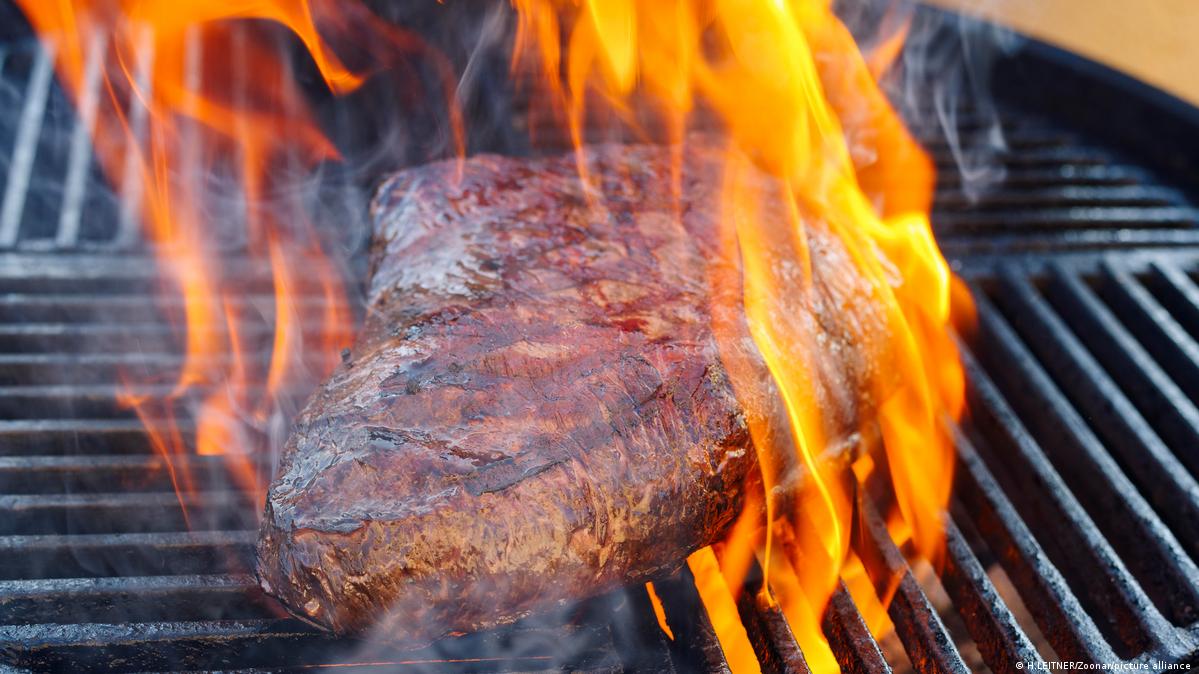 Let them eat steak? Experts roast inverted US food pyramid