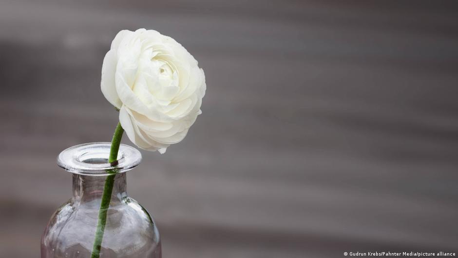 Assisted suicide: Germany weighs autonomy and ethics – DW – 07/04/2023