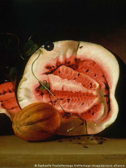 Mouth Watering Watermelon Making Mouth Watering Watermelon Smoothies