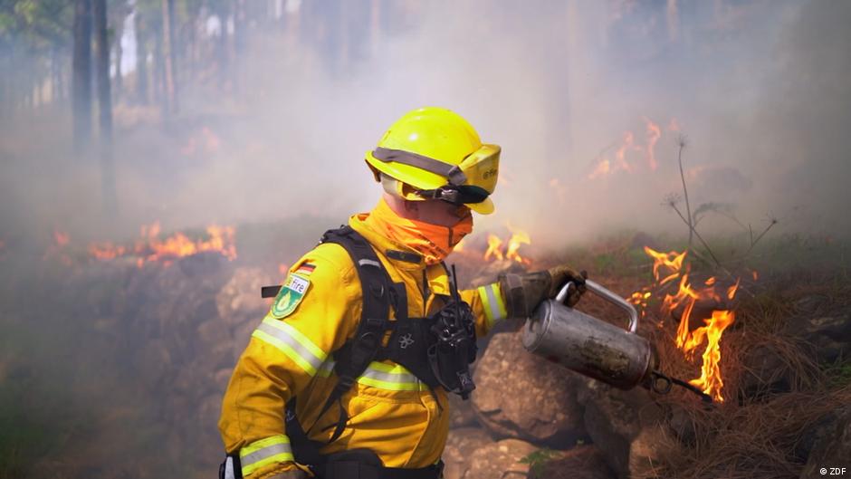 Fighting the flames - Saving forests in the climate crisis – DW – 07/03 ...