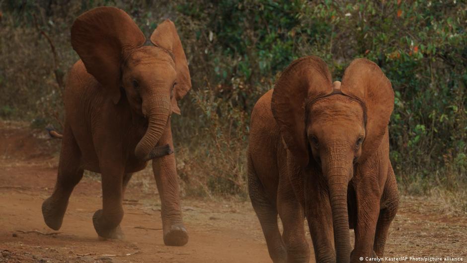 Info Matin 7h TU (24.04.24) – DW – 24/04/2024