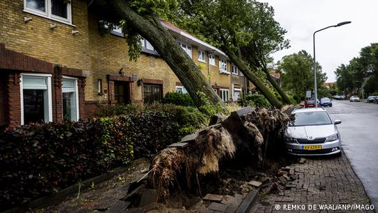 Netherlands: Rare storm brings death, traffic chaos
