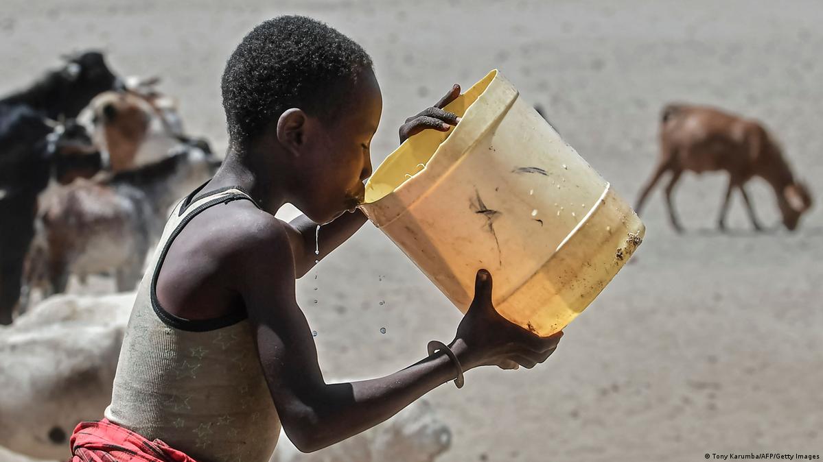 La famine s'aggrave avec la fin de l'accord céréalier – DW – 25/07/2023