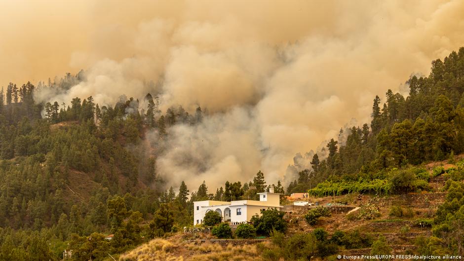 Wildfires are on the rise in Spain due to heat and drought – DW – 07/24 ...