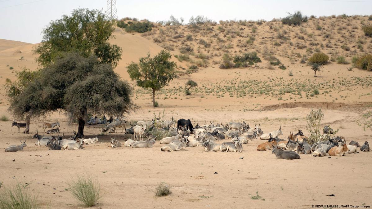 Pakistan's unusually dry winter threatens food supply