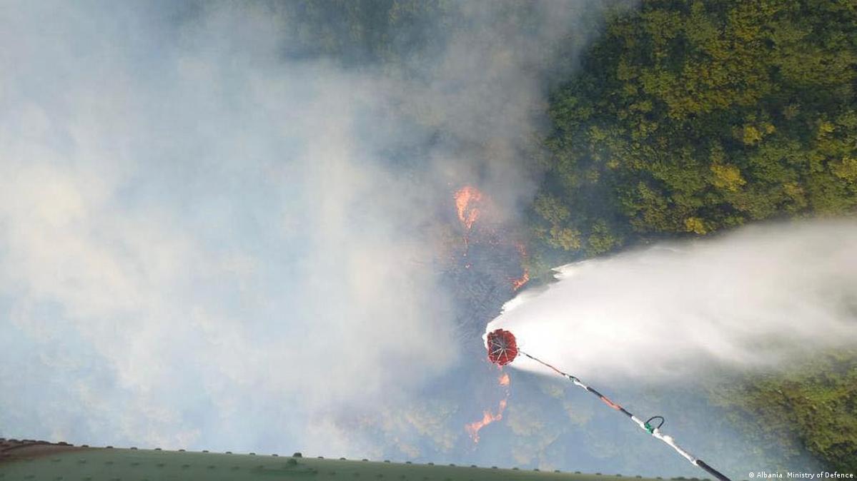 Shqipëri: Zjarre masive, plantacione ullinjsh të djegura – DW – 26/07/2023