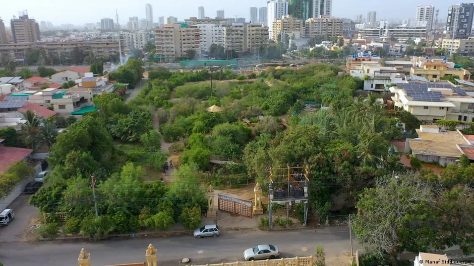 Urban forest combats Karachi's extreme heat