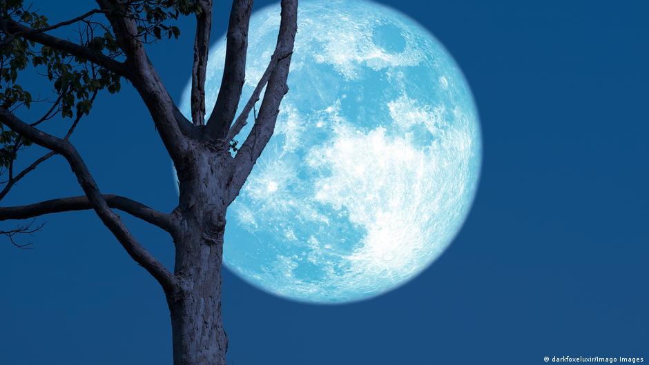 Blue Night Moon