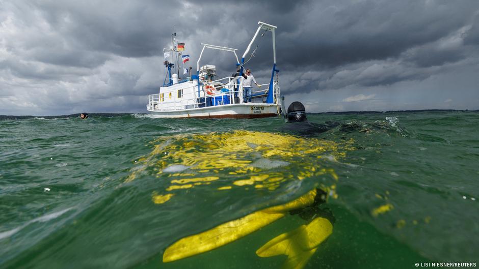 Cerca de 70 países firman tratado para proteger la altamar – DW – 21/09 ...