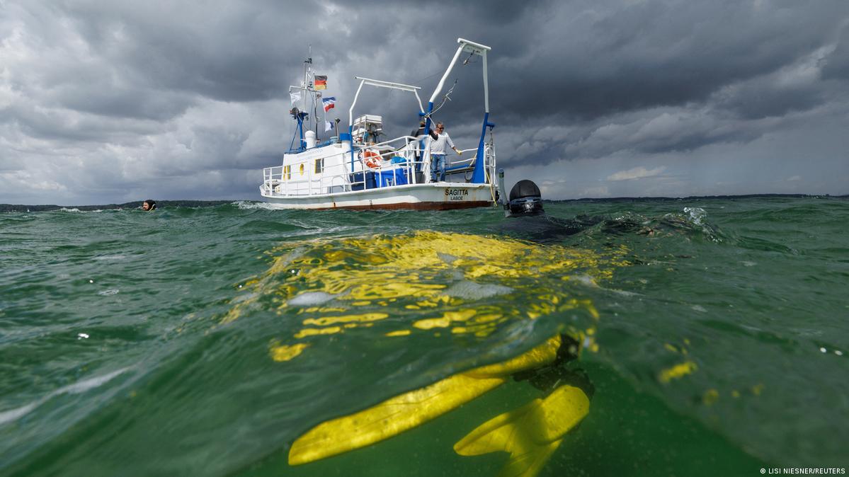 Cerca de 70 países firman tratado para proteger la altamar – DW – 21/09 ...