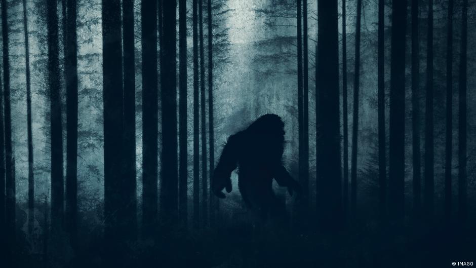 ¿Qué tan probable es que el Pie Grande sea un oso negro? – DW – 24/01/2024