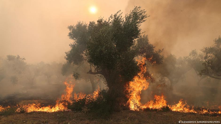 Greece: 18 bodies found in wildfire-struck region – DW – 08/22/2023
