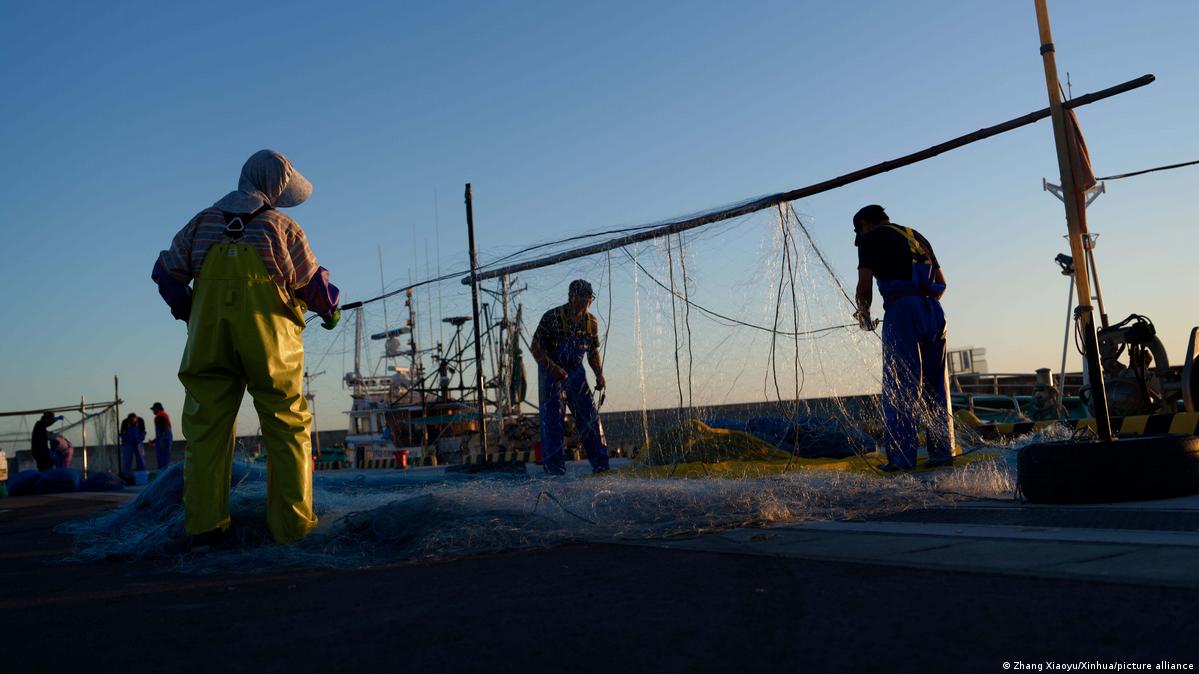 Japan boosts aid to fish sector after Fukushima discharge