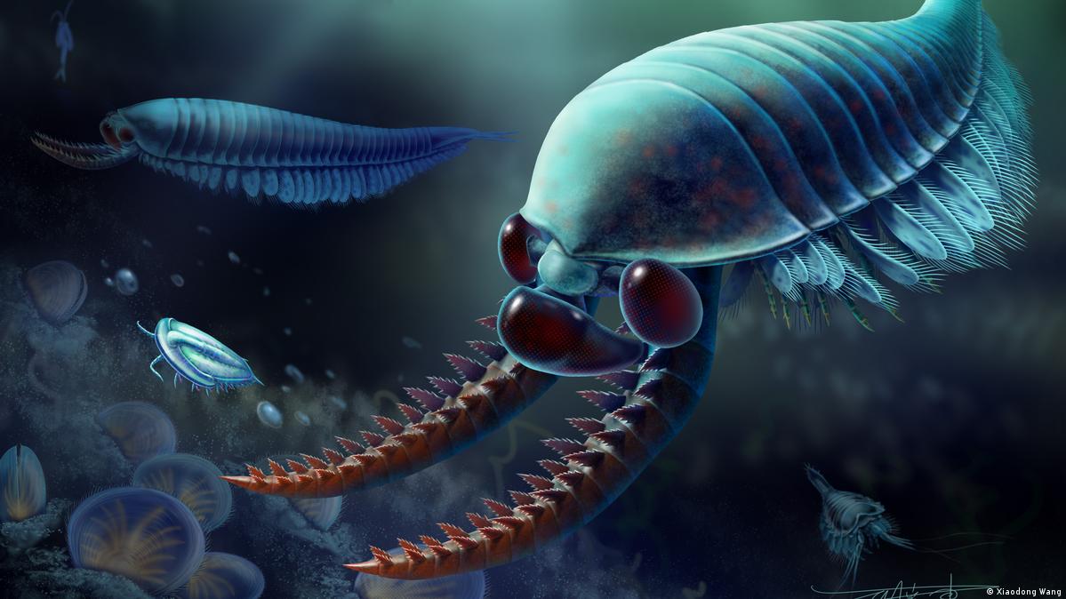 La herencia de criatura marina con tres ojos en artrópodos – DW – 01/09 ...