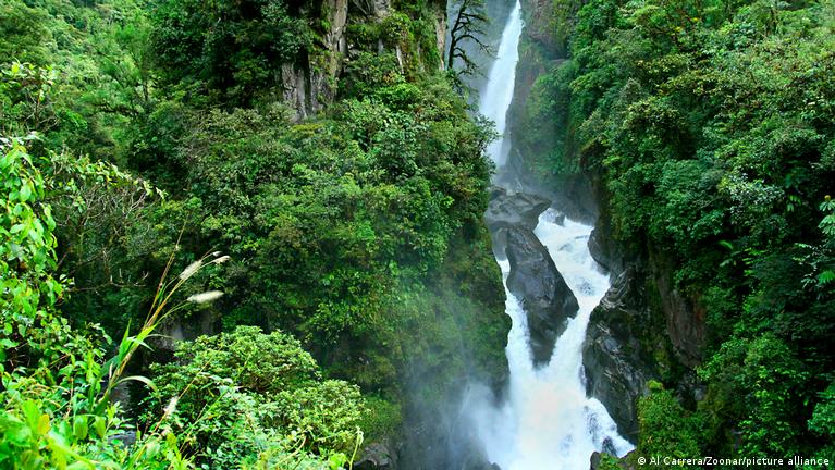 Ecuador protege otras 65.000 hectáreas de bosques nativos – DW – 14/09/2023