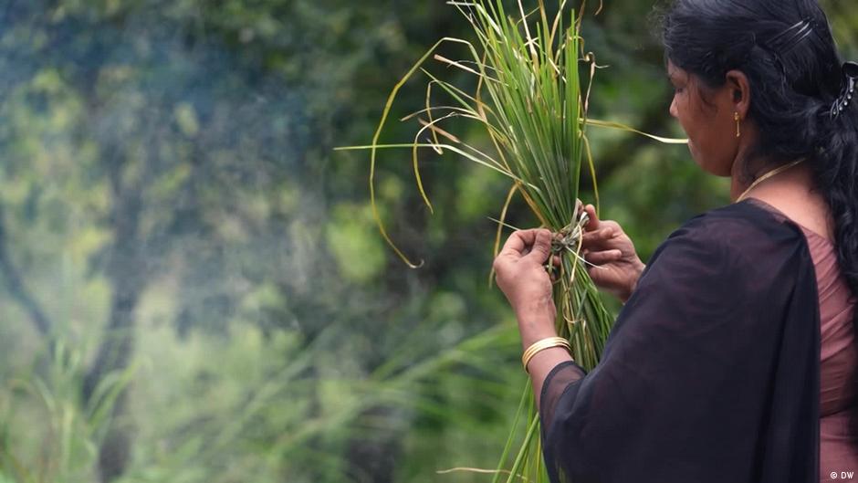 Vetiver grass weavers help combat soil erosion