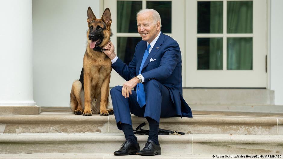 Biden's dog removed from White House for biting staff – DW – 10/05/2023