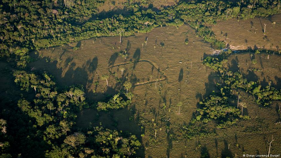La Amazonía podría esconder miles de estructuras antiguas – DW – 09/10/2023