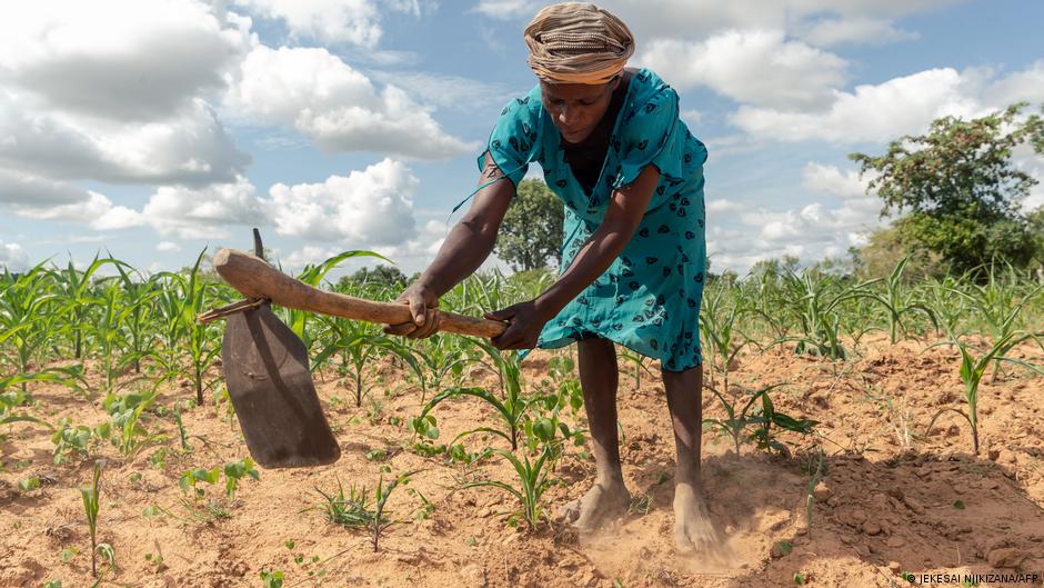 "Sustenta": Fim de um projeto insustentável e fraudulento?