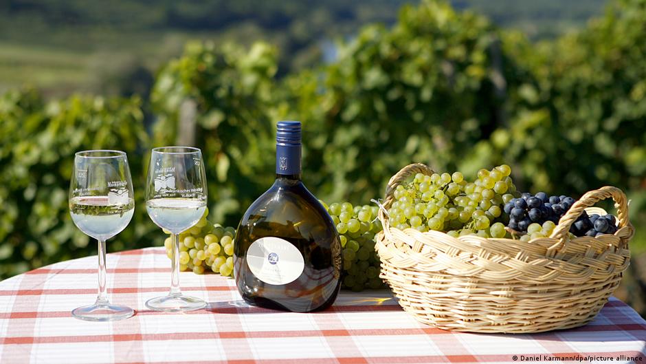 Germany's wine regions – DW – 10/17/2023