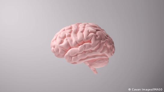 Can we slow down brain aging and prevent dementia? – DW – 01/08/2025