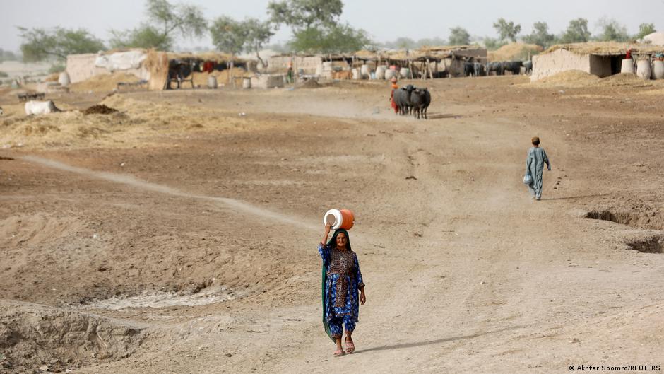 Climate change: 2023 likely hottest year recorded — EU – DW – 11/08/2023