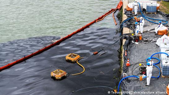 EU agrees on biodiversity law to restore nature – DW – 11/10/2023