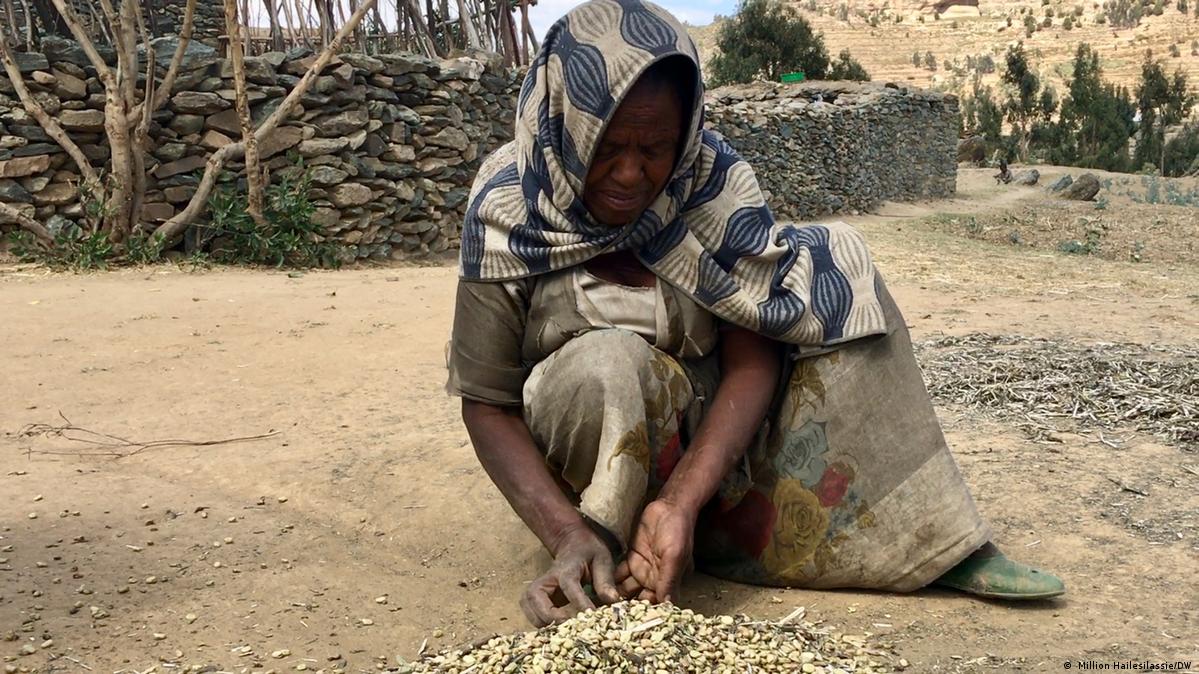 Agrarminister: Den Hunger in der Welt bekämpfen - aber wie? – DW – 20. ...