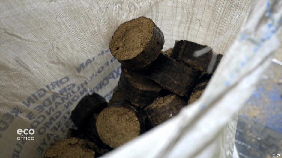 Turning human waste into energy in Kenya – DW – 12/11/2023