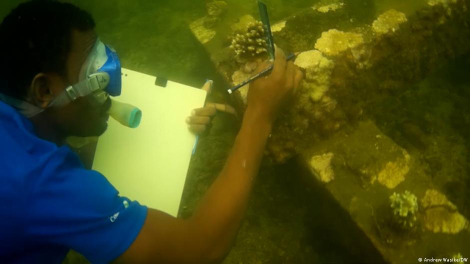 Reef rangers restore Kenya's coral – DW – 12/29/2023