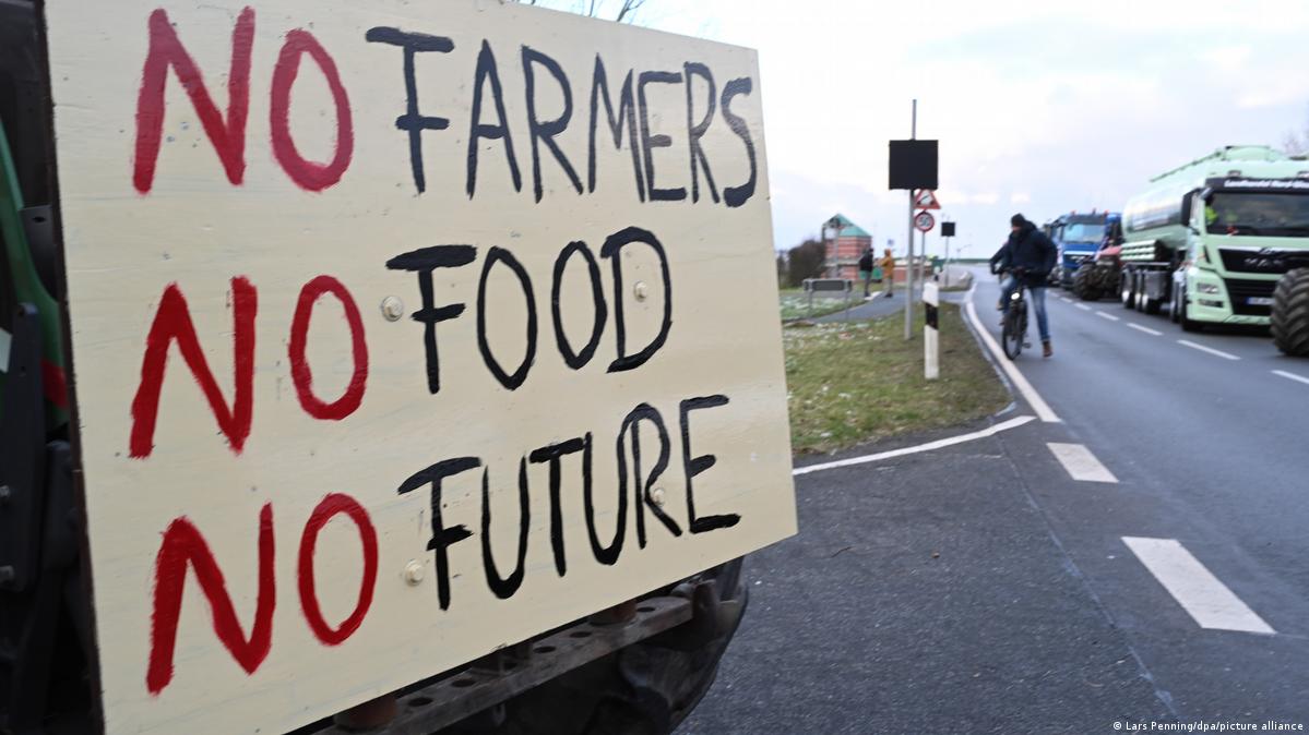 Why are German farmers so angry? – DW – 01/10/2024