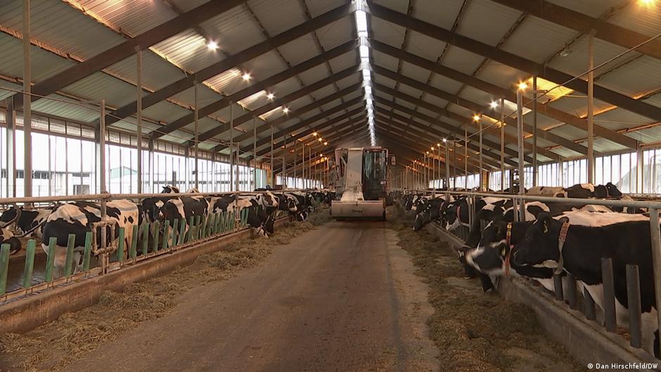 German farmers are feeling the squeeze – DW – 01/15/2024