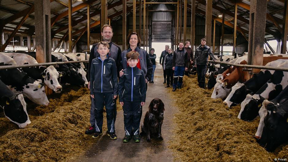 Germany's farmers want to milk cows, not fill out forms – DW – 01/18/2024