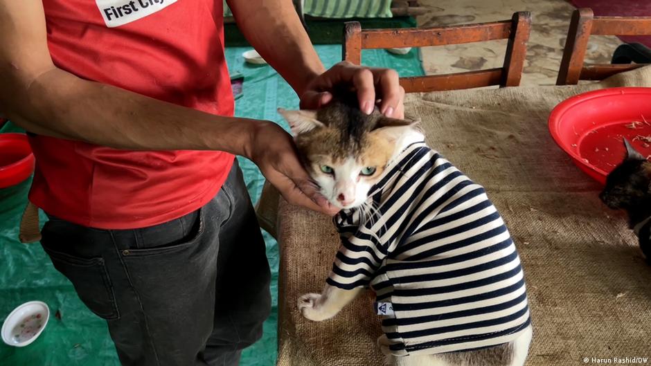 Bangladesh: A look inside Dhaka's first animal shelter – DW – 01/22/2024