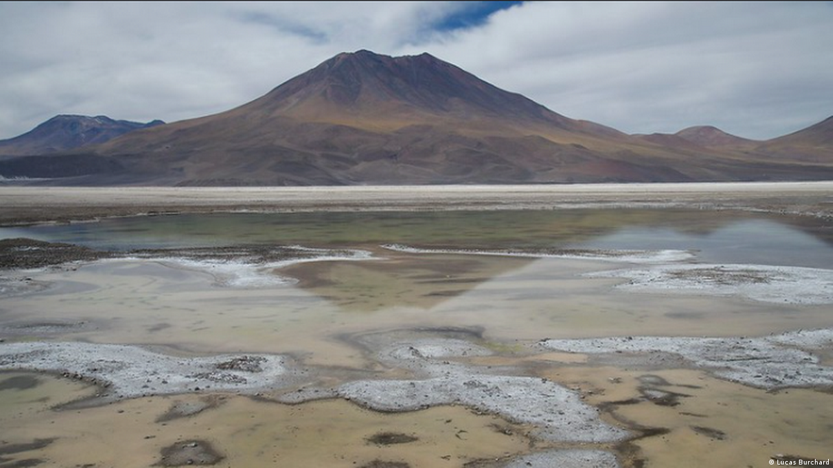 Coalición busca proteger los humedales andinos de la minería – DW – 02 ...